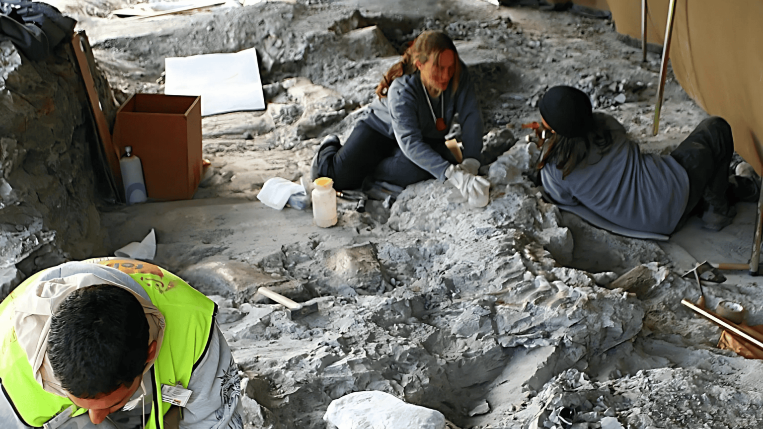 8 Dinosaur Discoveries That Changed What We Knew About Prehistory ...