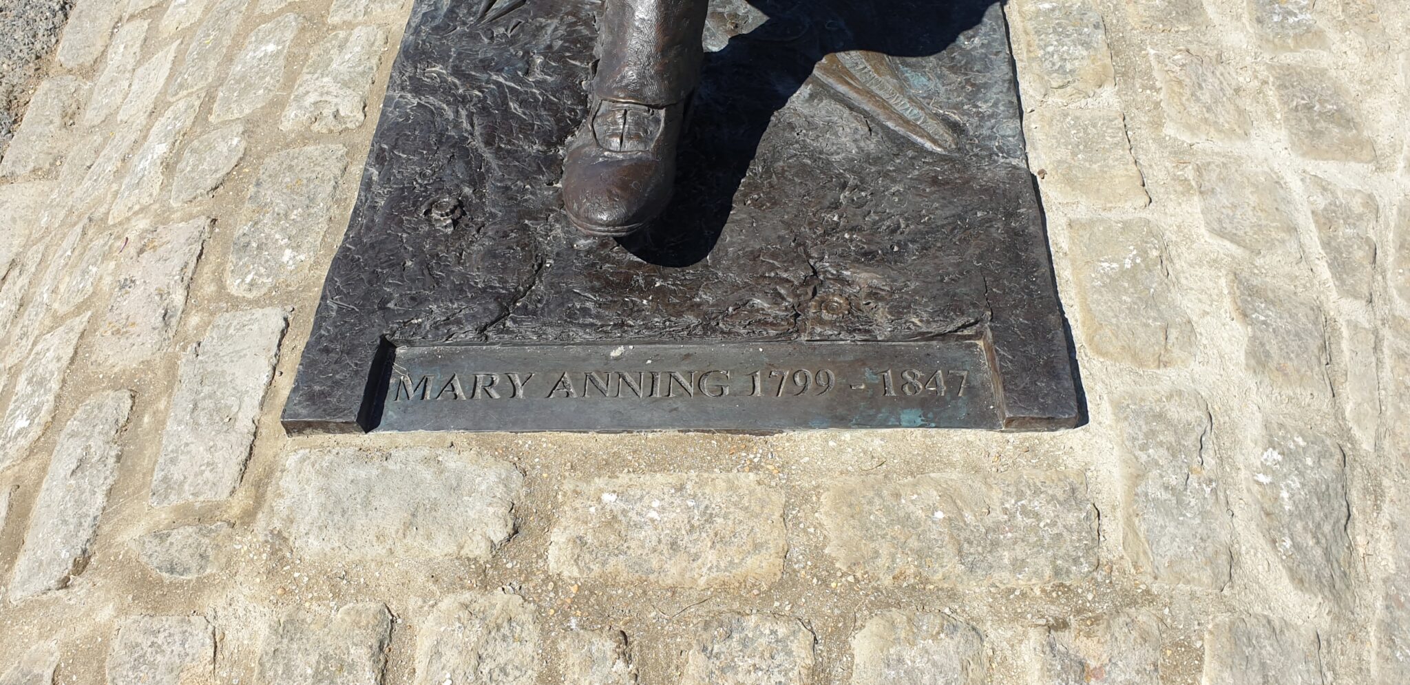 The Contribution of Dr Mary Anning in Paleontology How She Changed the ...
