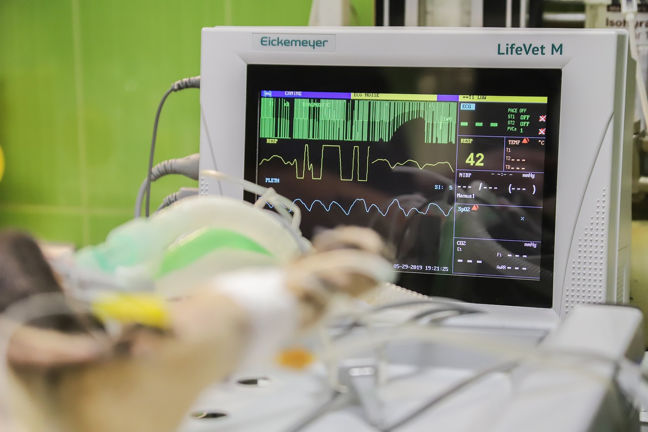 How Veterinary Medicine is Advancing to Protect Wild Animals ...