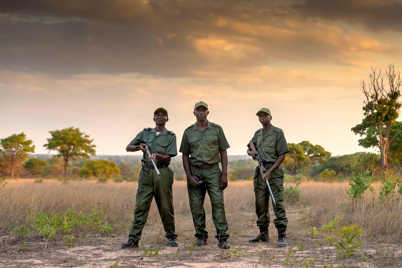 The Threat of Poaching and What is Being Done to Combat It ...