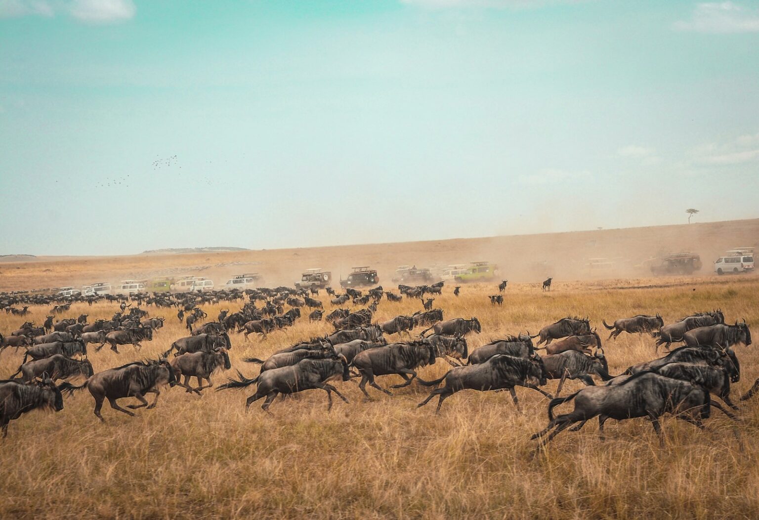 How Animals Adapt Their Behaviors to Survive in Extreme Environments ...