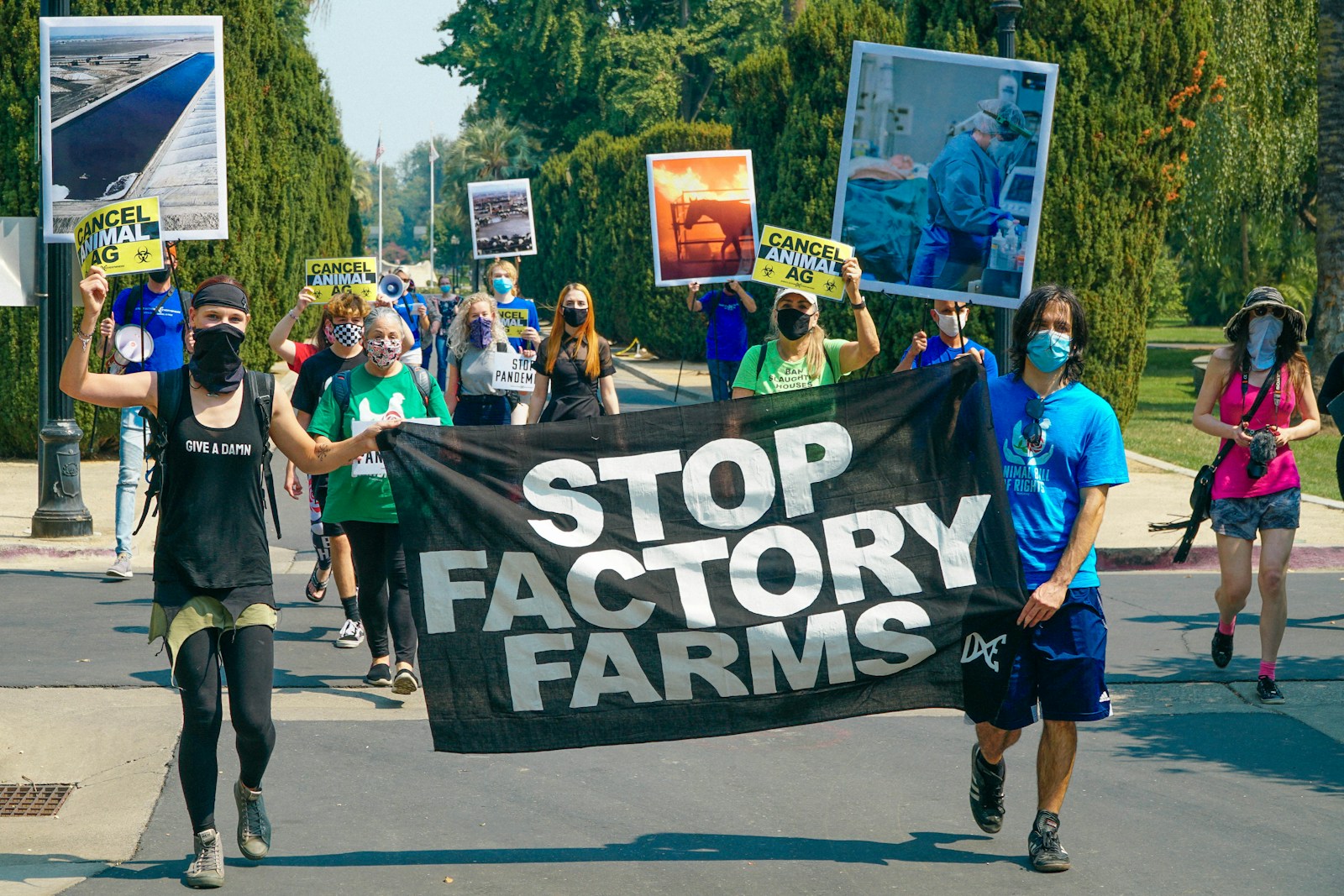 The Growing Movement for Animal Rights: From Factory Farms to Wild ...