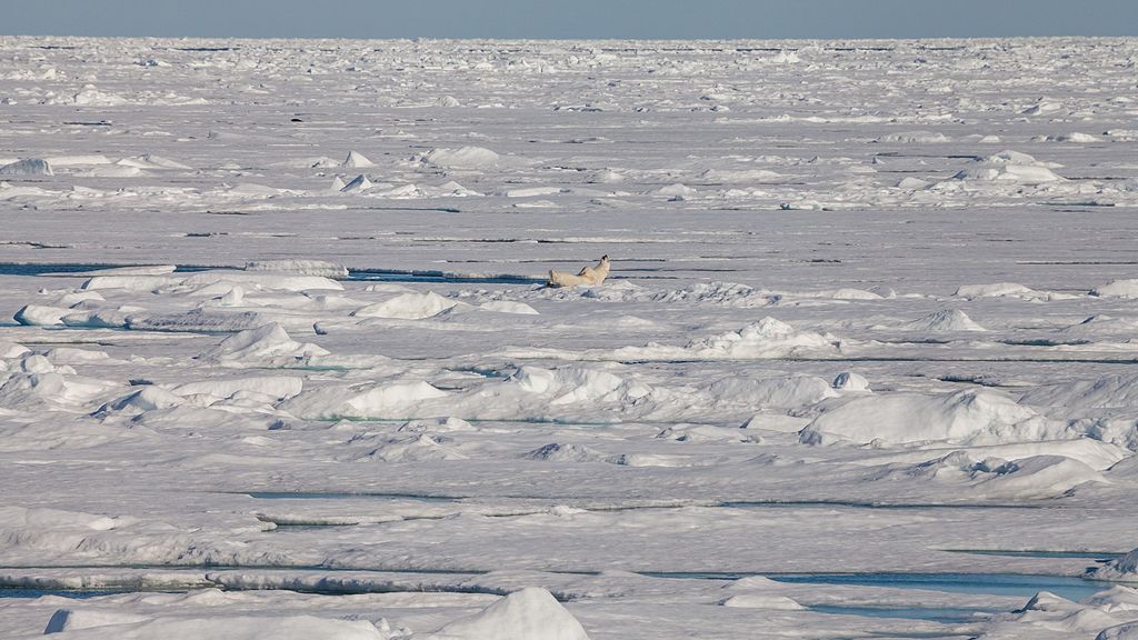 Can Science Refreeze the Arctic? New Technologies Aim to Restore Sea ...