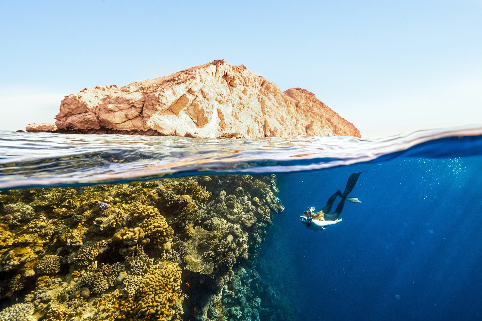 How AI Is Simulating Ecosystems — And What It's Telling Us About the ...