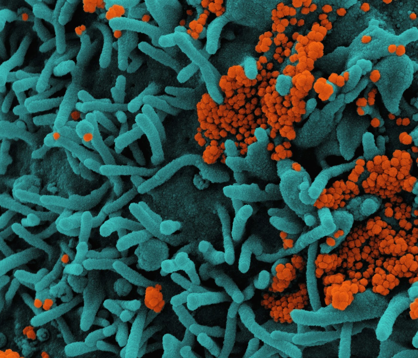 Tiny Titans: The Microorganisms That Can Save Our World ...