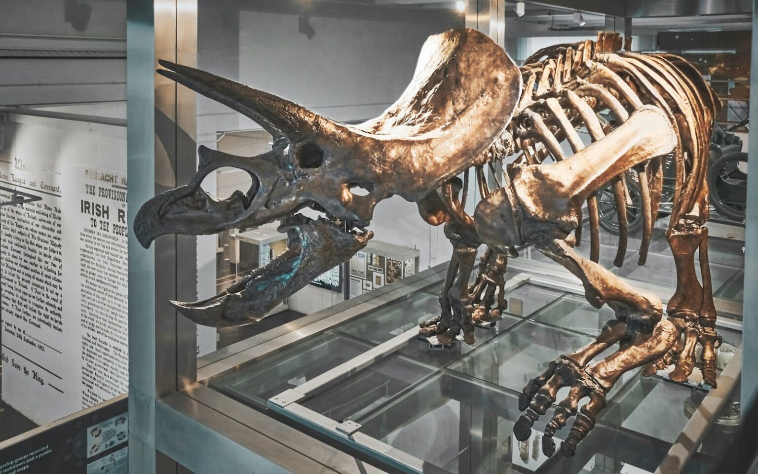 Top 7 Fossils That Were Once Considered Proof of Mythical Creatures ...