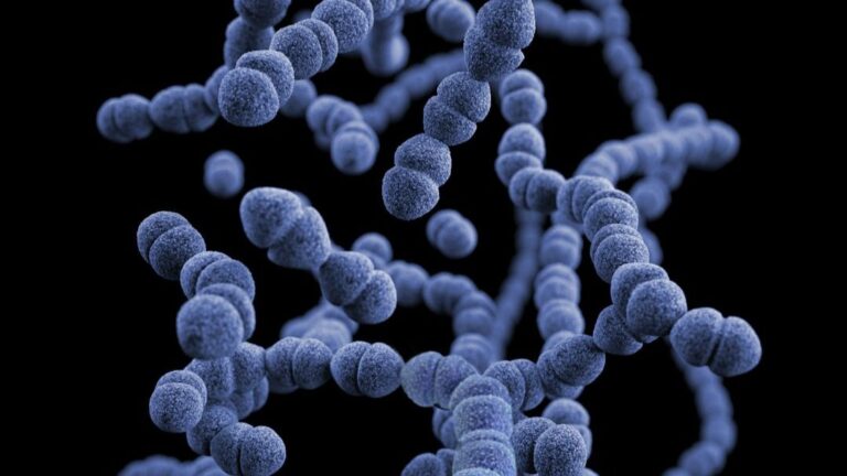 8 Unexplained Biological Phenomena That Continue to Baffle Modern ...