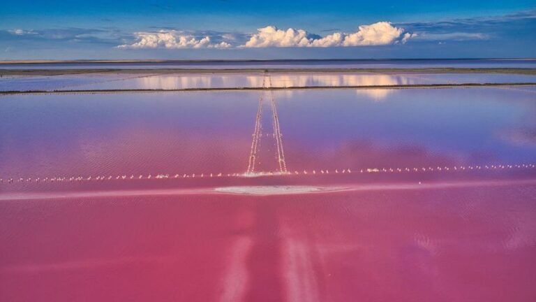 The Lake That Turns Blood Red Once a Year - and the Science Behind It ...